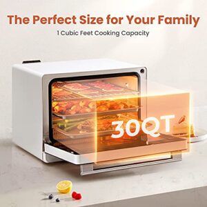 FOTILE ChefCubii 4-in-1 Countertop Convection Steam Oven, Air Fryer, Dehydrator with True Convection Bake, Steam-Bake, Broil, 40+ Preset Menu and Steam Self-Clean, 1 CFT