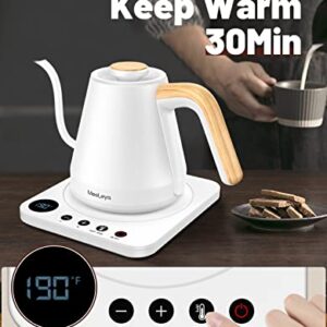 MeeLeya Electric Gooseneck Kettle with Temperature Control, Pour Over Coffee Kettle & Tea Kettle, Electric Kettle 1200 Watt, 0.8L (White)