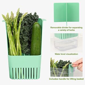 LUVCOSY Herb Keeper, BPA-Free Plastic Herb Saver with an Inner Basket for Cilantro, Mint, Parsley, and Asparagus, Keeps Fresh Herbs for 3 Times Longer,1Pcs, Blue