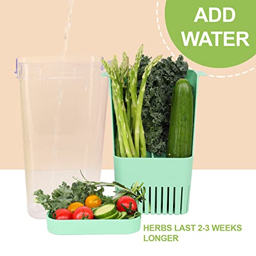 LUVCOSY Herb Keeper, BPA-Free Plastic Herb Saver with an Inner Basket for Cilantro, Mint, Parsley, and Asparagus, Keeps Fresh Herbs for 3 Times Longer,1Pcs, Blue