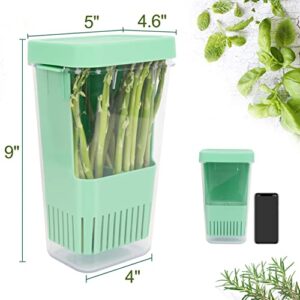 LUVCOSY Herb Keeper, BPA-Free Plastic Herb Saver with an Inner Basket for Cilantro, Mint, Parsley, and Asparagus, Keeps Fresh Herbs for 3 Times Longer,1Pcs, Blue