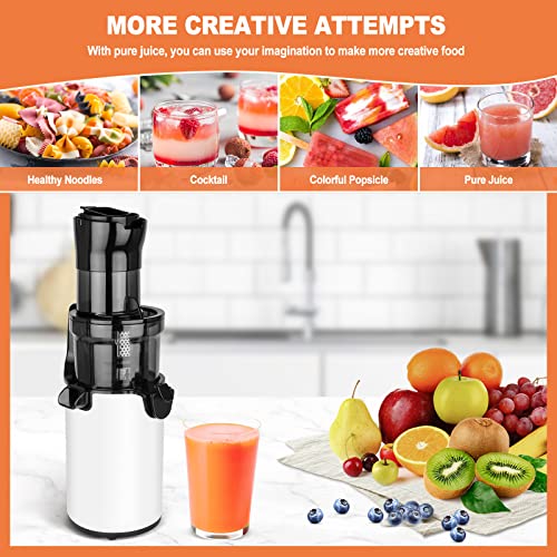 LynTorin Cold Press Juicer Machine, Slow Masticating Juicer with Wide Feed Chute, Slow Masticating Juice Extractor for Fruit and Vegetable, Easy Clean Compact Cold Press Pure Juicer for Home Use