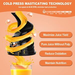 LynTorin Cold Press Juicer Machine, Slow Masticating Juicer with Wide Feed Chute, Slow Masticating Juice Extractor for Fruit and Vegetable, Easy Clean Compact Cold Press Pure Juicer for Home Use