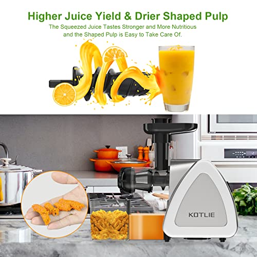 Juicer Machines,KOTLIE Juicer,Easy to Clean,Cold Press Juicer,Juicer Machines Vegetable and Fruit,High Juice Yield Slow Juicer,Slow Juicer with Two Special Container,Brush,Silver Juice Extractor