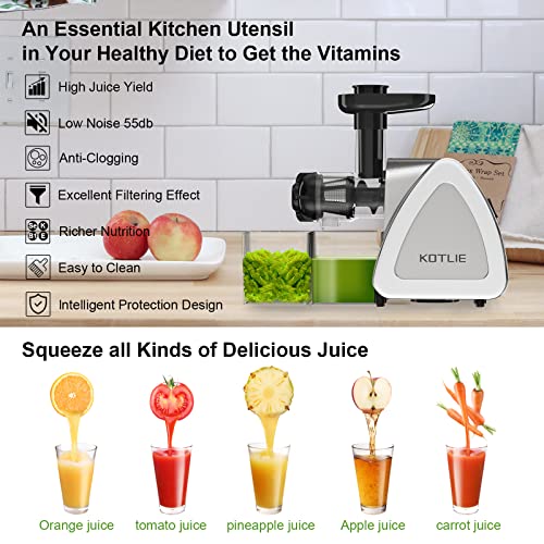 Juicer Machines,KOTLIE Juicer,Easy to Clean,Cold Press Juicer,Juicer Machines Vegetable and Fruit,High Juice Yield Slow Juicer,Slow Juicer with Two Special Container,Brush,Silver Juice Extractor