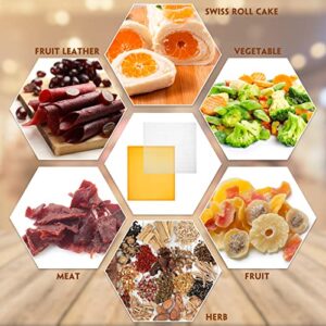 8 Pcs Silicone Dehydrator Sheets with Edge and 10 Pcs Mesh Dehydrator Mats with Silicone Scraper Silicone Tray Fruit Leather Trays for Dehydrator Non Stick Dehydrator Accessories for Liquid Meat Fruit