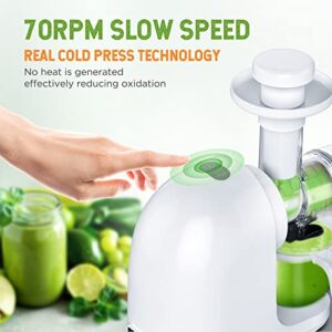 Cold Press Juicer Machine with Ceramic Auger, Slow Masticating Juicer 95% Juice Yield with Reverse Function, Quiet Motor Extractor, Easy to Clean Brush,Fruit Juicer, Vegetable Juicer