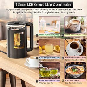 Electric Kettle, Intelligent Temp Control, One Wipe Clean, 5 LED Light Coffee Kettle Borosilicate Glass, 1500W Soft Sound Rapid Heating Water Kettle, BPA Free, 1.5L Window-Glass Double Wall Tea Kettle