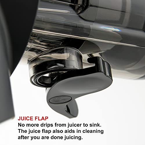 SANA 727 Supreme Low-Speed Masticating Juicer, 4 Speeds: 40 RPM to 120 RPM, 15-Year Warranty, Brushless DC Motor, Fruit, Vegetables and Leafy Greens Juicer, 132 Page Recipe Book, Black