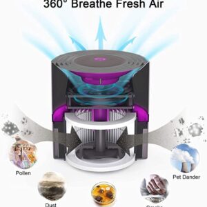 MEGAWISE H13 True HEPA Air Purifier Cleaner for Home Bedroom Small Room Office, help to purify for Smoke, Dust, Pet Dander, Ozone Free, Fully Certified