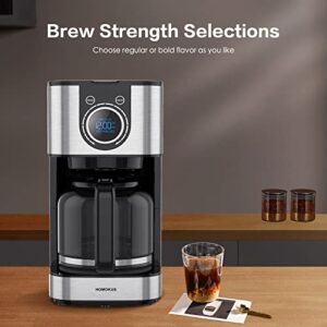 HOMOKUS 10 Cup Coffee Maker - Programmable Drip Coffee Maker -Stainless Steel Drip Coffee Machine with Timer, Brew Strength Control, LCD Screen and Anti-Drip System