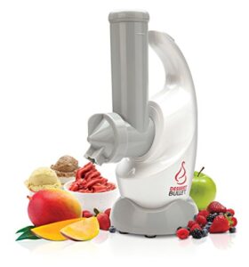 magic bullet dessert bullet blender