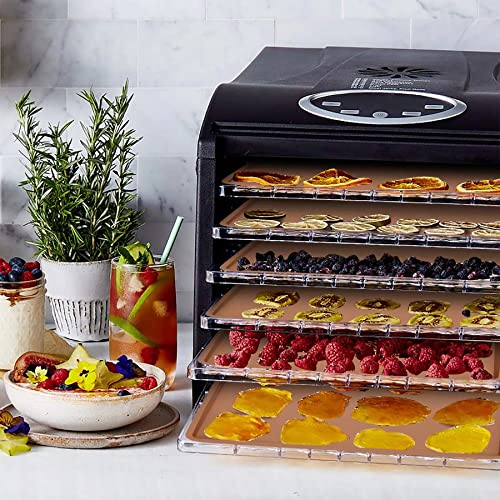 6-Pack Silicone Dehydrator Mats with Edge, 12x10.6inch Non-Stick Food Dehydrator Tray Liner Compatible with Cosori CP267-FD, Reusable Dehydrator Sheets for Fruits Eggs Meat Vegetables Flowers Herbs