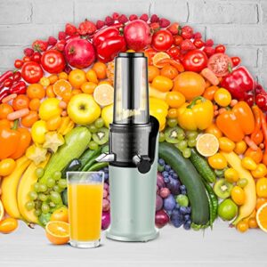 Lecone Juicer Machine, Compact Masticating Slow Juicer Easy to Clean Cold Press Juicer with Brush Upgraded Non-clog Filter with Reverse Function for Celery Ginger Pineapple Fruit and Vegetable (GREEN)