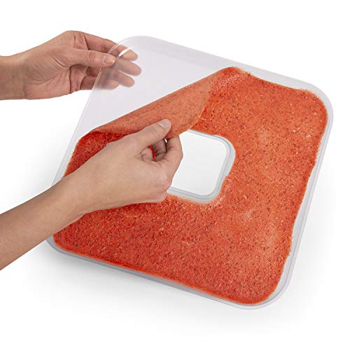 Fruit Roll Sheets