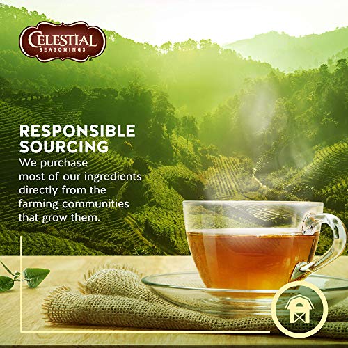 Celestial Seasonings Bengal Spice Tea, 20 Count, 1.7 Oz