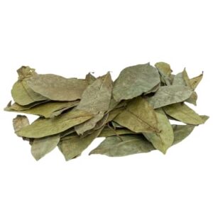 Yerbero - Hoja De Guanabana Entera ( .75 oz - 22gr ) Whole Dried Graviola Soursop Guanabana Leaves, Organic Whole Leaf ,100% All Natural Delicious| 20+ Servings | From Mexico | Premium Wildcrafted Quality.