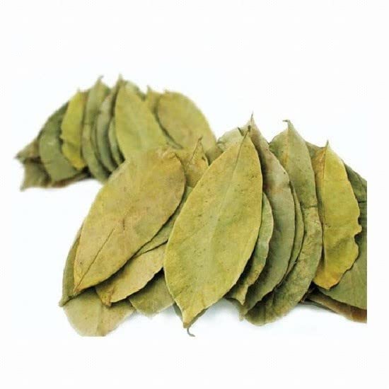 Yerbero - Hoja De Guanabana Entera ( .75 oz - 22gr ) Whole Dried Graviola Soursop Guanabana Leaves, Organic Whole Leaf ,100% All Natural Delicious| 20+ Servings | From Mexico | Premium Wildcrafted Quality.