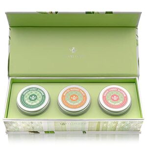 Teabloom USDA Certified Organic Loose Leaf Green Tea Trio Box -Green Sweet Jasmine, Minted Mango Peach, and Green Cherry Blossom - Radiant Greens Collection