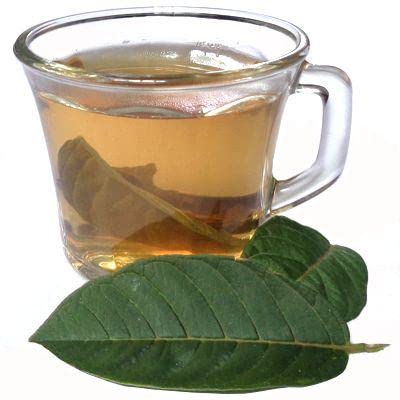 Yerbero - Whole Guava Leaf 2oz (56gr) Herbal Tea (Te Hojas De Guayaba) Skin Care | Hair Re-Growth | Crafted By Nature100% All Natural Fresh Tea Tea | Non-GMO | Gluten-free.