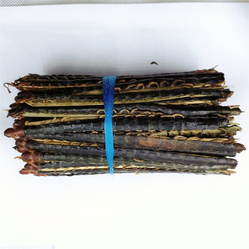 Chinese Herbal Medicine Domestic red-Headed Centipede 15cm Long Dried Centipede 10pcs中药材国产红头蜈蚣15公分长蜈蚣干10pcs