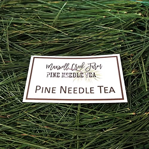 Organic Pine Needles for Tea | FRESH NOT DRIED | Maxwell Creek Farm | Loose Needles | Immune Boosting | Includes Trial Custom Blend Pine Needle Tea Bag! (2 Ounce Trial)