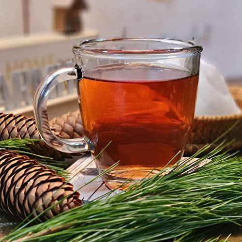 Organic Pine Needles for Tea | FRESH NOT DRIED | Maxwell Creek Farm | Loose Needles | Immune Boosting | Includes Trial Custom Blend Pine Needle Tea Bag! (2 Ounce Trial)