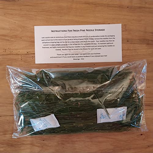 Organic Pine Needles for Tea | FRESH NOT DRIED | Maxwell Creek Farm | Loose Needles | Immune Boosting | Includes Trial Custom Blend Pine Needle Tea Bag! (2 Ounce Trial)