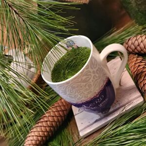 Organic Pine Needles for Tea | FRESH NOT DRIED | Maxwell Creek Farm | Loose Needles | Immune Boosting | Includes Trial Custom Blend Pine Needle Tea Bag! (2 Ounce Trial)