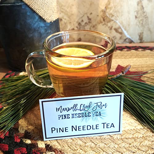 Organic Pine Needles for Tea | FRESH NOT DRIED | Maxwell Creek Farm | Loose Needles | Immune Boosting | Includes Trial Custom Blend Pine Needle Tea Bag! (2 Ounce Trial)