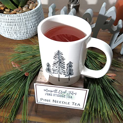 Organic Pine Needles for Tea | FRESH NOT DRIED | Maxwell Creek Farm | Loose Needles | Immune Boosting | Includes Trial Custom Blend Pine Needle Tea Bag! (2 Ounce Trial)