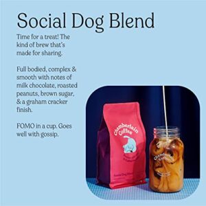 Chamberlain Coffee Social Dog Blend, Full Bodied Organic Coffee with Complex yet Smooth Notes of Milk Chocolate, Roasted Peanuts, Brown Sugar, Graham Cracker, Fresh Ground 12oz