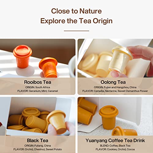 SATURNBIRD Express Tea, 4 flavors, Premium Instant Tea Powder, Rooibos/Fuliang Black Tea/Oolong Tea/Yuanyang Coffee Tea Drink, Cold Brew Tea, Freeze-drying Tech, Ice/Hot Water/Milk, No Additives, Variety Pack (4 Packs, 48 count total)