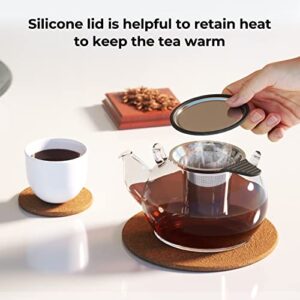 Reinmoson Tea Infusers for Loose Tea, Food Grade Silicone and 304 Stainless Steel Extra Fine Mesh Tea Strainer for Loose Leaf Tea Single Cup, Loose Leaf Tea Steeper for White Tea, Rooibos, etc