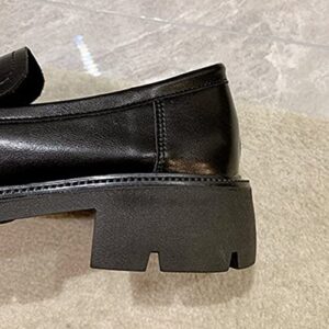 Women Casual Shoes Fashion Spring New Casual Retro Style Comfortable Square Heel Thick Heel Slip On Shoes Leather Slip on Shoes for Women Casual Black