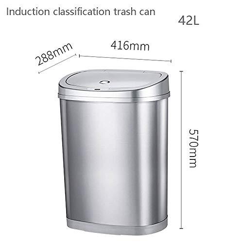 WENLII Double Classification Sensor Trash Can Smart Stainless Steel Can Auto Sealing Cover Garbage Classification Bins 30/42L (Size : 42L)