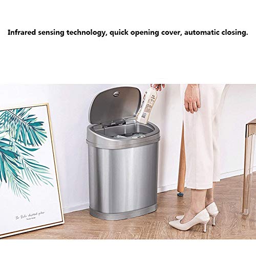 WENLII Double Classification Sensor Trash Can Smart Stainless Steel Can Auto Sealing Cover Garbage Classification Bins 30/42L (Size : 42L)