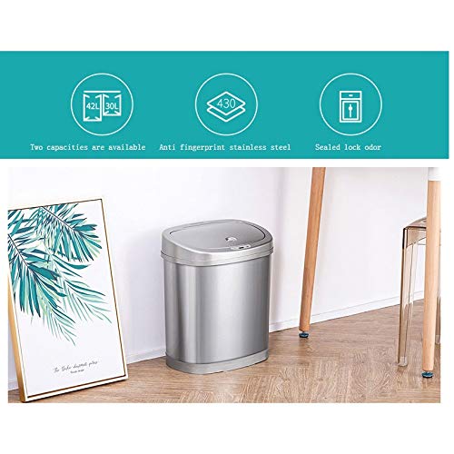 WENLII Double Classification Sensor Trash Can Smart Stainless Steel Can Auto Sealing Cover Garbage Classification Bins 30/42L (Size : 42L)