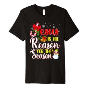 Christian Jesus The Reason Christmas Stocking Stuffer Gifts Premium T-Shirt