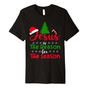 Christian Jesus The Reason Christmas Stocking Stuffer Premium T-Shirt