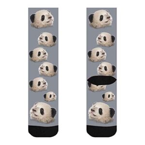 Kervaky Custom Socks with Face Dog Socks, Your Photo on Personalized Socks with Picture for Men Women