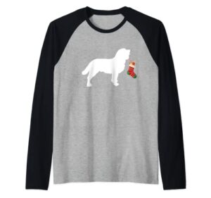 american water spaniel christmas stocking stuffer dog raglan baseball tee