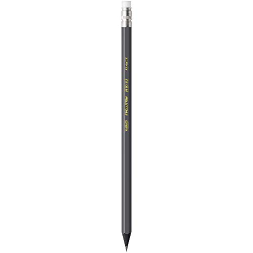 BIC Evolution Cased Pencil, 2 Lead, Gray Barrel, 24-Count