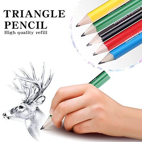 NatCot Triangular Fat Pencil For 2-8 Years Old Kids Use.10 Pencil With Pencil Sharpener And Eraser (Color)