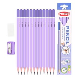 pablue hb graphite pencils, triangular concave grip pencils, fat, thick, strong, with eraser, sharpener, suitable for school, student, art, beginner,drawing,sketching,shading(purple,pack of 12)