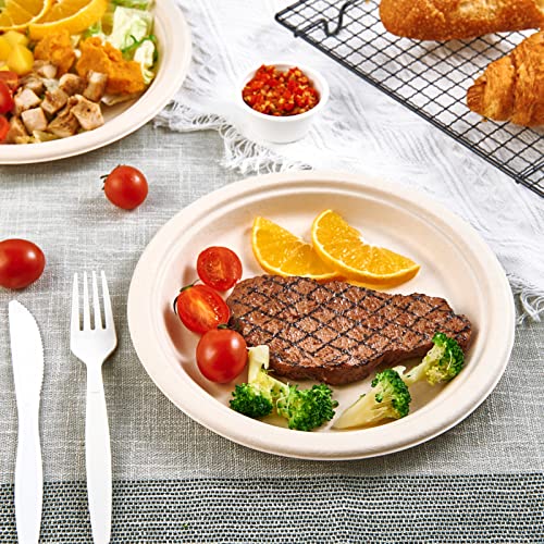 Vplus 150 Pack Paper Plates 9 inch 100% Compostable Plates Heavy-Duty Disposable Paper Plates Bagasse Natural Biodegradable Eco-Friendly Sugarcane Plates