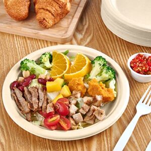 Vplus 150 Pack Paper Plates 9 inch 100% Compostable Plates Heavy-Duty Disposable Paper Plates Bagasse Natural Biodegradable Eco-Friendly Sugarcane Plates