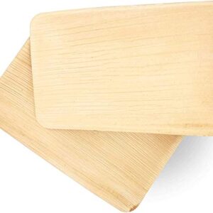 Dtocs Palm Leaf Plates 6x9 Inch Rectangle Tray (Pack 50) | Bamboo Plate Like Biodegradable Compostable Plate, Disposable Charcuterie Board, Mini Cheese Board | Sturdy Than Heavy Duty Paper Plates