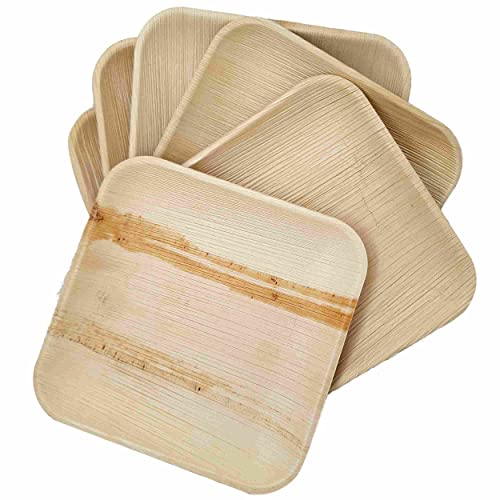 Dtocs Palm Leaf Plate 8 Inch Square Plate (50 Pcs) Bamboo Plate Like Compostable Party Plate Set - Mini Dinner Plate, Cake Plate, Appetizer Plate | Disposable Plates Sturdier Than 8" Paper Plates