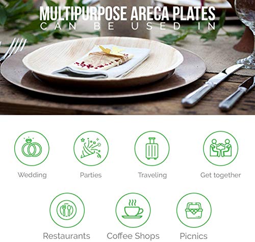 Dtocs Palm Leaf Plates Pack 50, 10X6 Inch Oval | Eco-friendly, Compostable, Natural, Organic Disposable Party Plates For Wedding, Camping, Birthday Dinner | Better Than Bamboo, Paper Plates